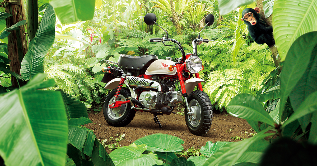 Fully Revamped for the First Time in 30 Years!｜Monkey Stories｜HISTORY｜Monkey｜Honda Global ...